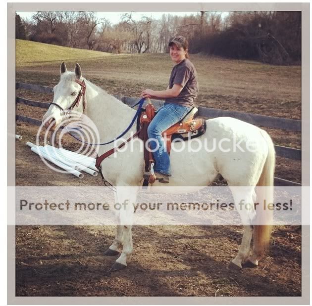 Dropped fetlock? | The Horse Forum