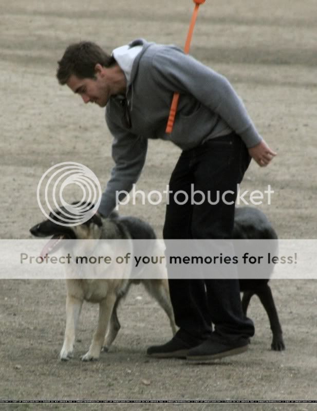 Jake Gyllenhaal - Jake, Boo & Atticus #2: Cos they're Jake's babies ...