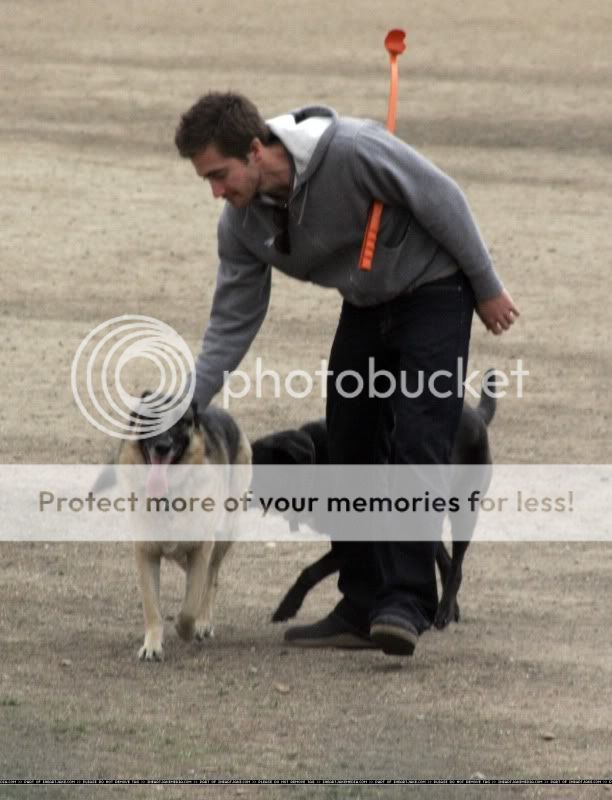 Jake Gyllenhaal - Jake, Boo & Atticus #2: Cos they're Jake's babies ...